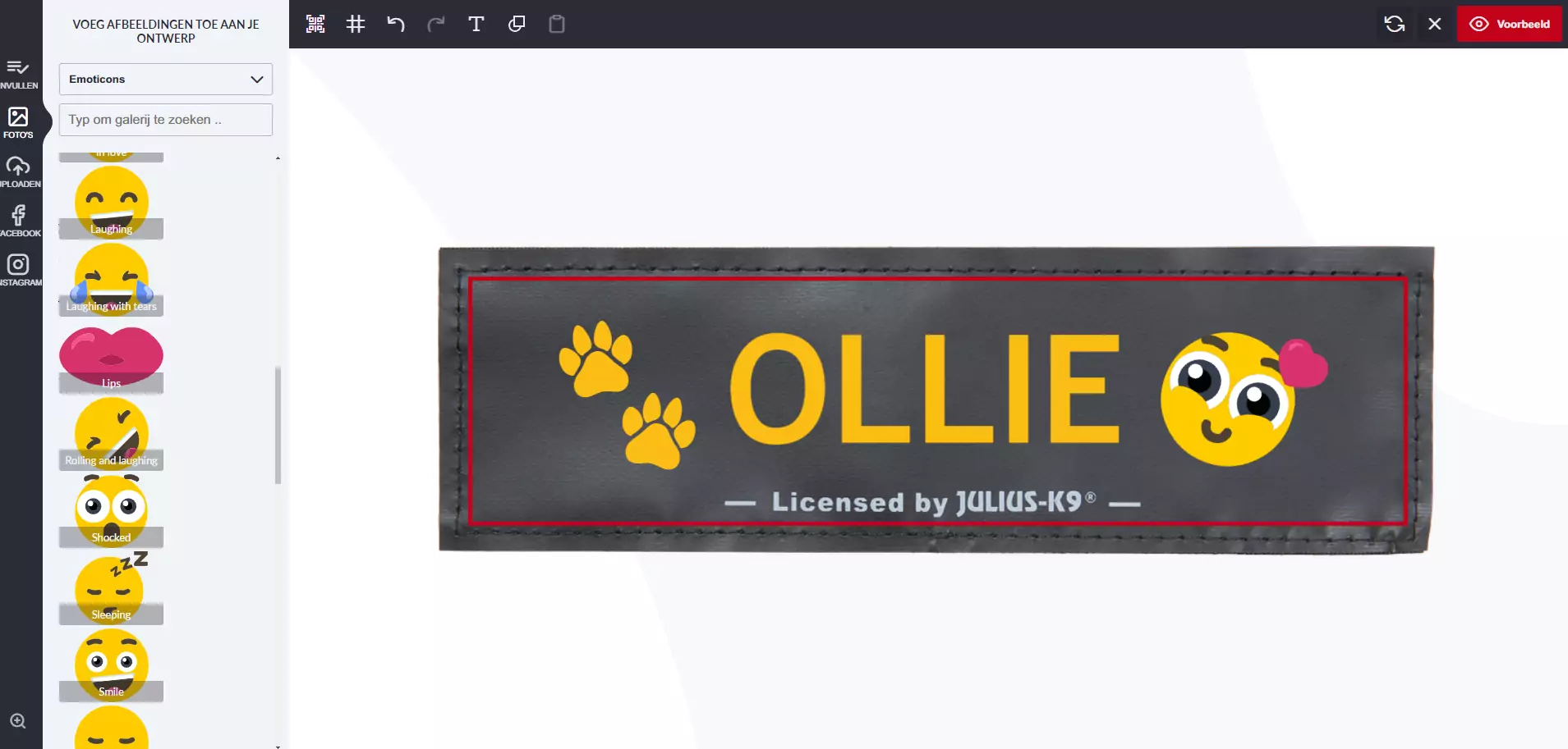 Eigen naam label - groot 160 x 50 mm - Per Set | Bestel nu